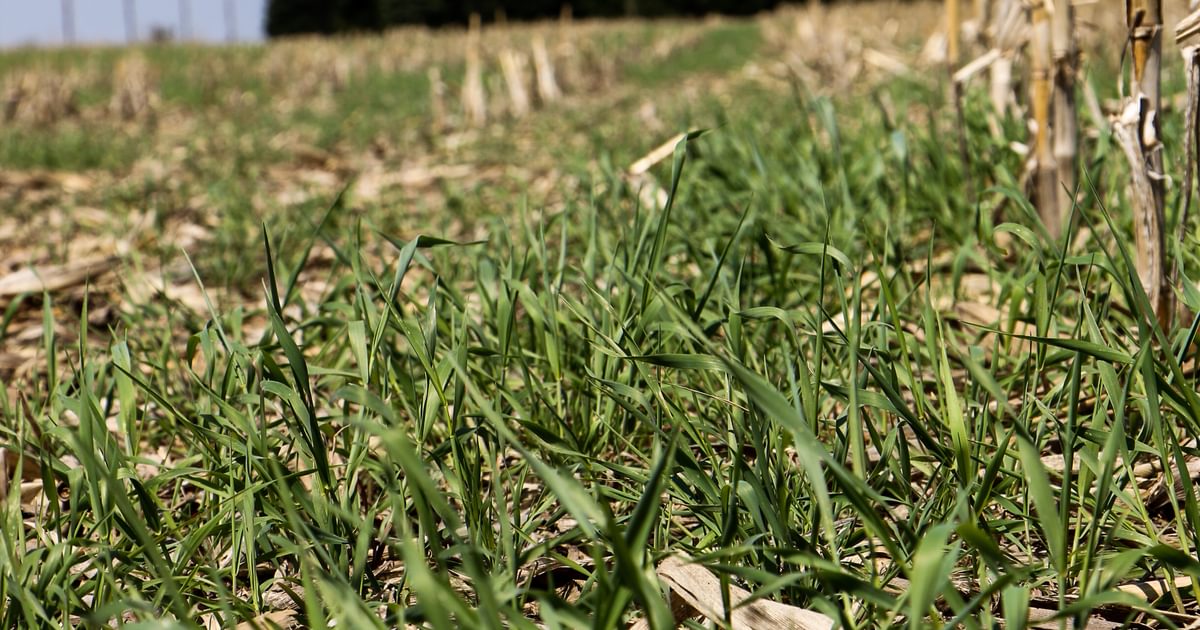 Floyd River Water Quality… | Farmers Cooperative Society